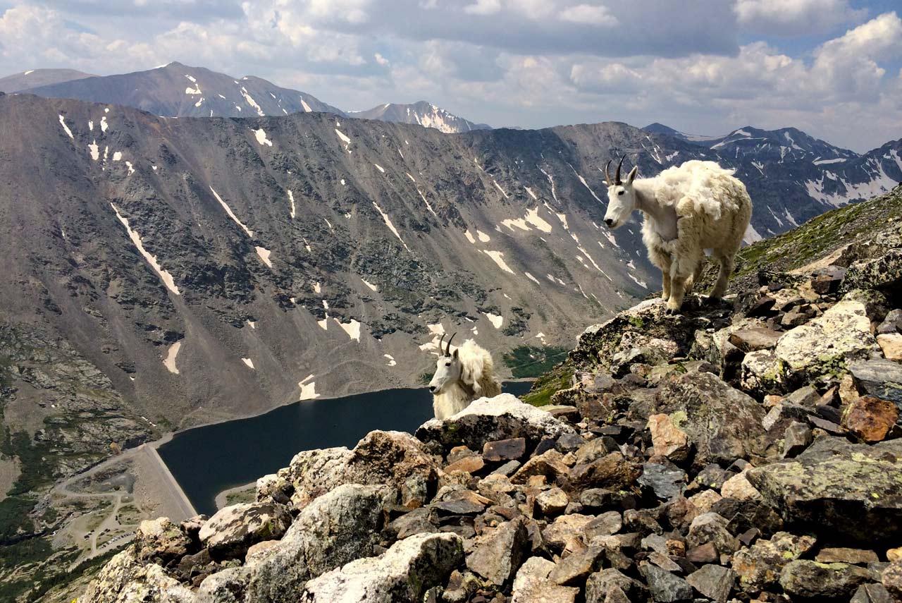 Other Big Game Hunting in Colorado - HuntScore