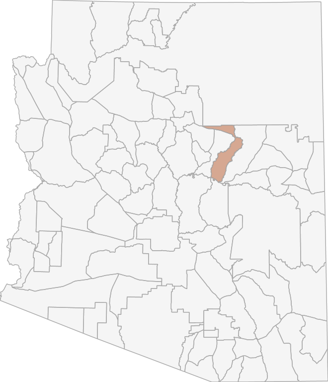 Elk Hunting in Arizona's Game Management Unit 4A (Hopi) - HuntScore